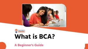 What is BCA? Degree, Course & Subjects Explained